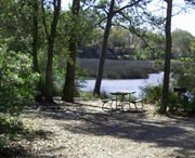 CAMPSITES | Shepard State Park