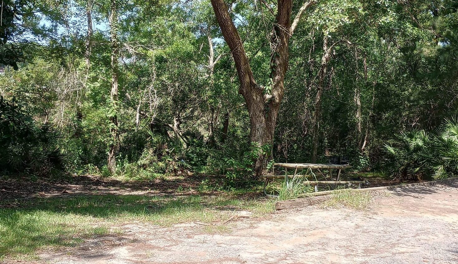 RV Campsite Gallery – Shepard State Park