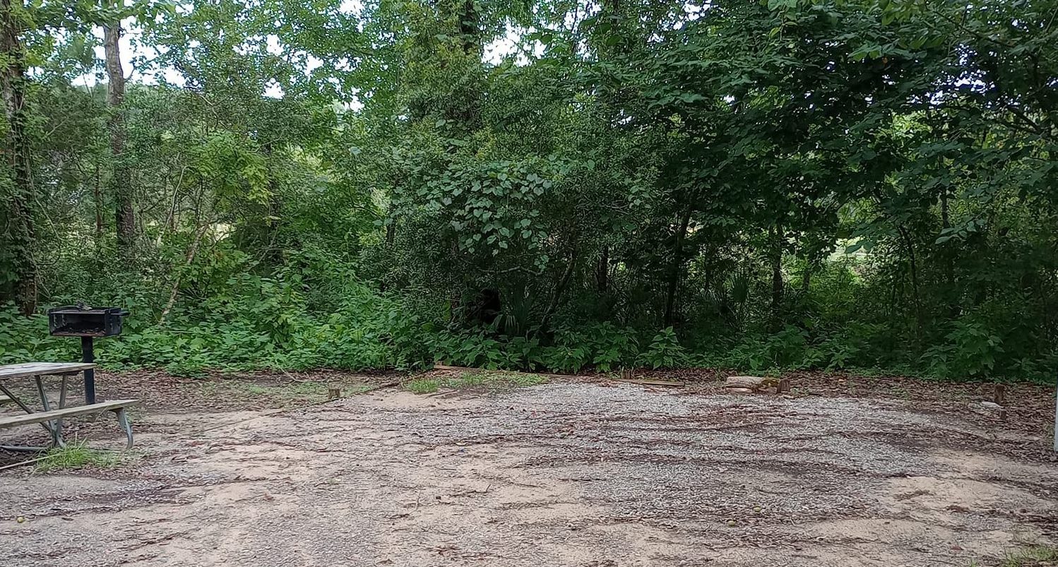 RV Campsite Gallery – Shepard State Park