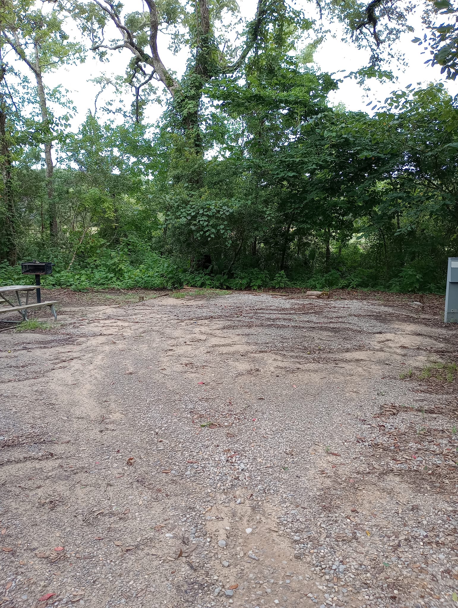 Site 009 - Shepard State Park